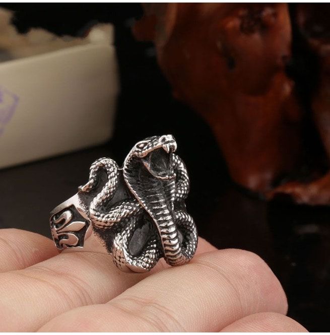 Guy Rings Snake