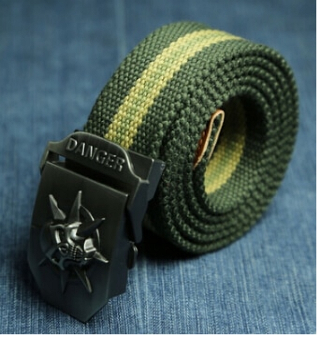 Heavy Metal Metallic Grey Skull Buckle Canvas Belt | RebelsMarket